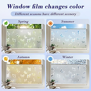 ColorfulHall Butterfly Frosted Glass Window Film Window Privacy Film,Bathroom Decor Privacy Window Film Day and Night Static Cling 90% UV Heat Blocking Window Clings(17.5X78.7 inch)