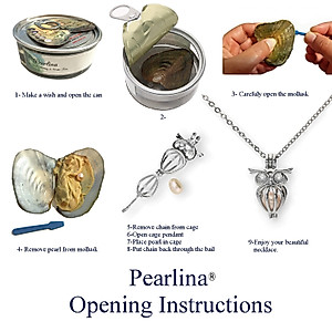 Pearlina Sterling Silver Owl Necklace Cage Cultured Pearl in Oyster Wish pearl Set 18"