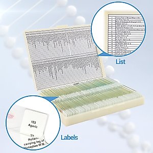 120 Microscope Slides with Specimens for Kids, Prepared Microscope Slides for Kids Microbiology, Prepared Microscope Slides for Adults