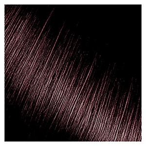Kiss: Express Semi Permanent Hair Color - Darkest Brown K89-Darkest Brown