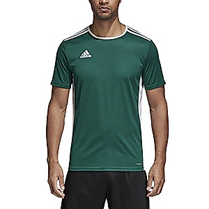 adidas Men's Entrada 18 Jersey, Collegiate Green, Large