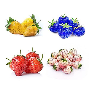 400+ Mix Strawberry Seeds for Planting Red Yellow Blue White Climbing Strawberry Heirloom Everbearing Fruit Sweet and Delicious