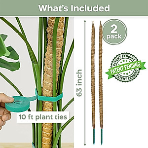 K-Brands 2 Pack Moss Pole - 63'' Bendable Monstera Plant Support - Moss Poles for Climbing Plants Monstera - Plant Pole Plant Sticks Support - Plant Stakes kit for Indoor Plants