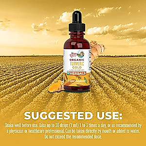 USDA Organic Turmeric Gold Liquid Drops by MaryRuth's | Liquid Herbal Blend | Turmeric Curcumin, Black Pepper, Cassia Cinnamon Bark, Ginger Root | Immune & Digestive Support | Non-GMO, Vegan, 1oz