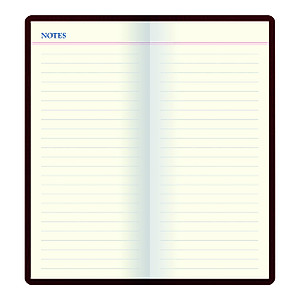 Letts Note Origins Collection Slim Pocket Size Notebook with Gold Pen, Ruled, 240 Pages, Cream Paper, 5.75" x 2.75", Chocolate (B090013)