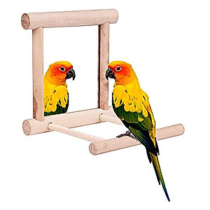 HAPPTYTOY Bird Toy for Parrot Parakeets Conures Cockatiels Cage Swing Wooden Fun Play Toy for Birds (Mirror)