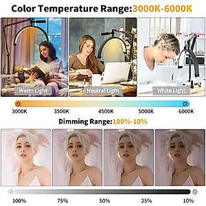 TwoWin Lash Light for Eyelash Extensions, Half Moon LED Lash Light Lamp for Tattoo Lighting, Lashes, Nail Tech, Esthetician Light with Phone Holder, Adjustable Brightness & Height