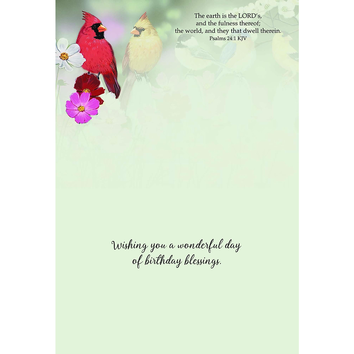 Crown Point Graphics Shared Blessings Birthday Birds 12 Boxed Birthday Cards, Beautiful Birds with KJV Scripture, Art by William Vanderdasson