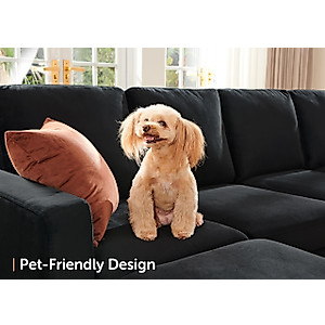 HONBAY Modular Sectional Couch with Storage, Velvet U-Shaped Sectional Sofa with Storage Ottoman Convertible U-Shaped Sofa for Living Room, Black