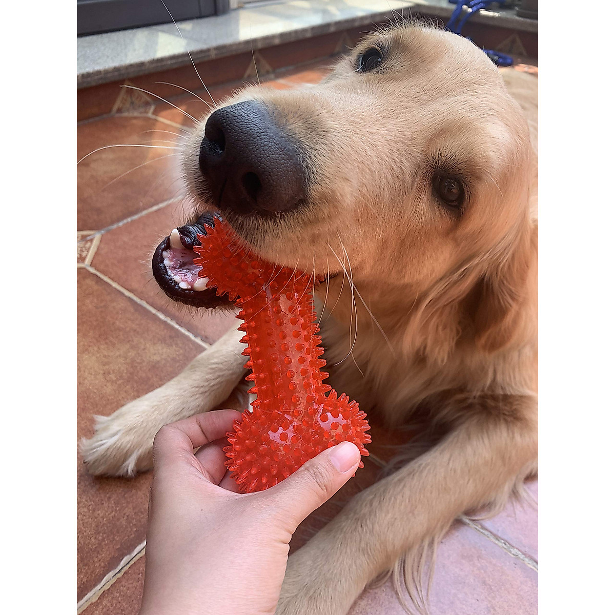 Dog Squeaky Toys Value Set Non-Toxic Dog Squeaky Balls for Dogs Toss Fetch Toys for Dogs TPR Rubber Puppy Toys Spikey Dog Chew Toys for Small Medium Dogs Pet Toys for Puppy Dog Teething Toys