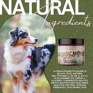 All American Canine Advanced Formula Multivitamin Plus Health Enhancement Powdered Supplement Food Topper for Working, Hunting & Sports Dogs, 90 Servings