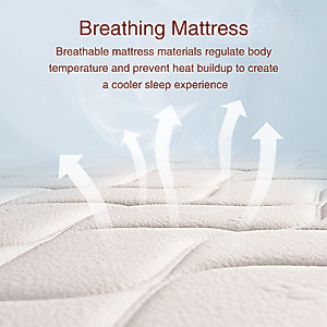 WUYOTRE Queen Mattress, 12 Inch Queen Size Hybrid Mattress in a Box,Cooling Memory Foam Bed Mattresses with Independent Spring,Soft and Breathable,Back Pain Relief,CertiPUR-US,Medium