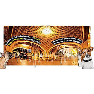 Weird But True! New York City