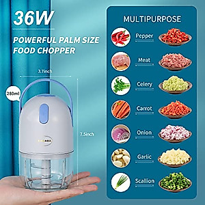 TIKBABA Electric Food Processor,Chopper vegetable cutter,Garlic Grinder with 3 stainless steel blades,Large Power Battery(Blue)