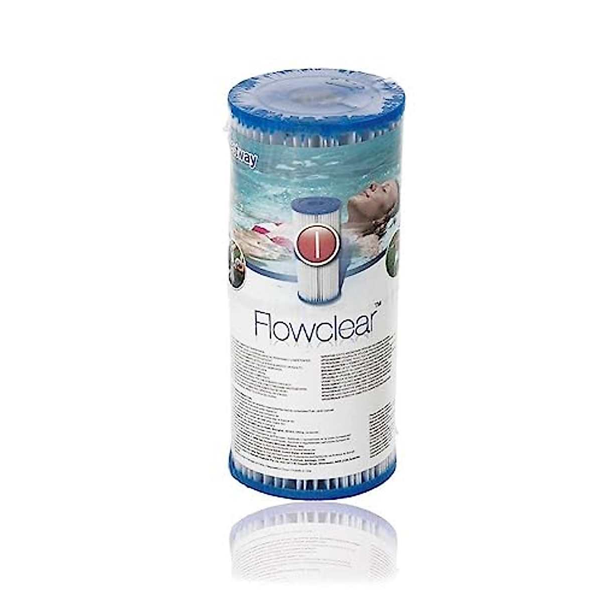 POOL FILTER CARTG I 2PK