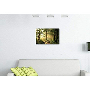 Forest Wall Art Modern Canvas Painting The Picture for Home DecorationTrees Foggy Morning Spring Landscape Print On Canvas Giclee Artwork for Wall Decor