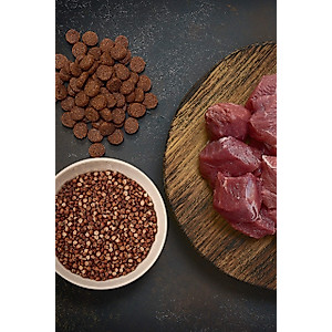 Perfectus Rich Red Meat and Ancient Grain Recipe - Natural, Non GMO, High Protein Premium Dry Dog Food 25 lbs Bag