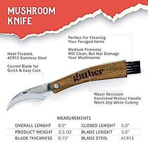 Gather Americana Mushroom Foraging Knife - 3 Inches High Carbon Steel Blade - Boar-Bristle Brush and Walnut Handle