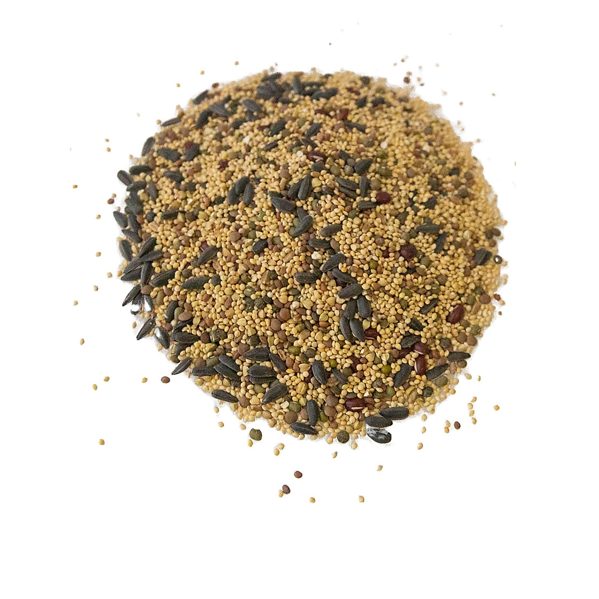 Handy Pantry Organic Birdseed - 5 Lb - Sprouting Bird Seed Mix for Small, Medium & Large Birds- Feed for Songbirds, Parakeets, Parrots, etc