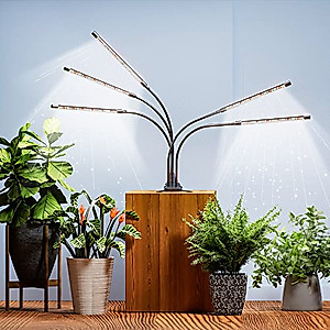 Grow Lights for Indoor Plants, DICCEAO 150W LEDs Grow Light for Seed Starting with Full Spectrum, 3/9/12H Timer, 10 Dimmable Levels, 3 Switch Modes