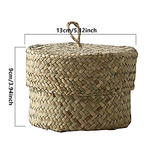 QmjdDymx Small Seagrass Storage Baskets with Lid Straw Round Storage Box with Handle Wicker Basket Home Organization for Snack, Keys Desktop Decor