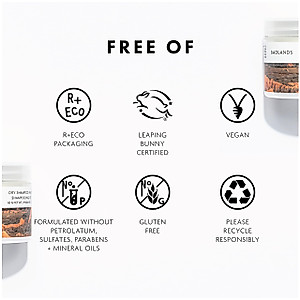 R+Co Badlands Dry Shampoo Paste | Part Dry Shampoo, Part Styling Paste | Adds Texture, Absorbs Oil, Matte Finish | 2.2 oz