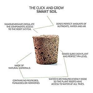 Click and Grow Smart Garden Catnip Plant Pods, 3-Pack