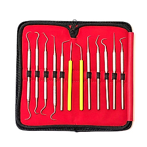 Premium Set of 12 Stainless Steel Precision Micro Probe Set Combo-Straight, Single, Short Double, Long Double, Triple and Hook Tips -Pick Tool Set 5.5"(14CM) (Set of 5 Each)