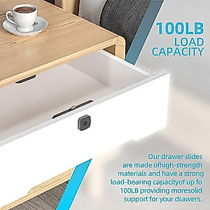 BAIDICE 1 Pair Stainless Steel Full Extension Ball Bearing Drawer Slides 8 10 12 14 16 18 20 22 24 Inch 100 LB Load Capacity Side Mount Cabinet Rails Dresser Metal Runners Kitchen Slider Glides