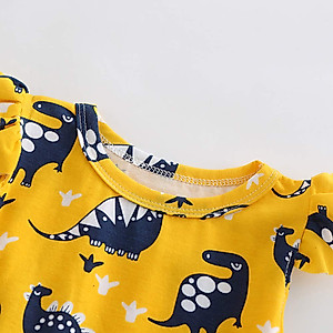 Jeinxcn Toddler Baby Girl Dinosaur Party Dress Summer Holiday Dress Outfit Clothes 4T