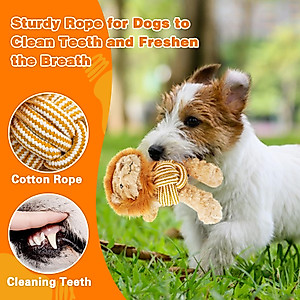 Lepawit Squeaky Dog Toys, Cute Lionet with Rope for Teething, Durable Dog Chew Toys for Small and Medium Dogs