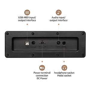 ZHRUNS Digital Piano, 88 Key Full Weighted Keyboard Piano,Professional Acoustic Heavy Hammer Keyboard Electric Piano, Sustain Pedal,USB MIDI Connecting Audio Output ZR-903