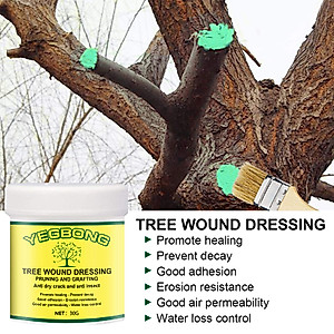 Garden Bonsai Plant Healing Paste, Tree Wound Pruning Sealer Bonsai Pruning Cutting Paste, Plants Wound Dressing for Garden Plant Grafting and Wound Treatment, Help Trees Recover Quickly (30/100/300g)