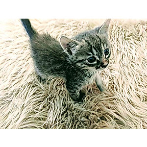 Soft Faux Sheepskin Lamb Fur Chair Cover, Seat Cover, Area Rug, Mat, Baby Blanket, 2 x 3 Feet - Natural (Oatmeal, Beige, Tan,