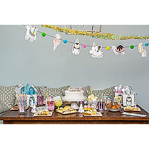 Party Partners Festive Fringe Garland Party Banner, 16.5-Feet, Pastel