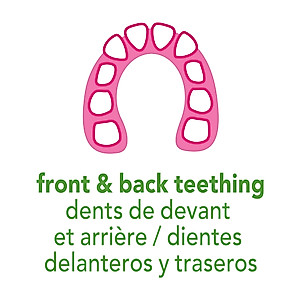 green sprouts Silicone Teethers (2 Pack) | Soothes Gums & Promotes Healthy Oral Development | Multiple Textures Massage Gums, Easy to Hold, Gum, & chew, Dishwasher Safe , Pink