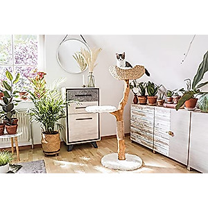 Wooden Cat Tree Tower, Modern Single Branch Cat Condo, Wood Cat Tree, Cat Climbing, Furniture for Cat, Cat Lover Gift, Cat Furniture,Cat Gift by MAU LIFESTYLE (Alpine White)