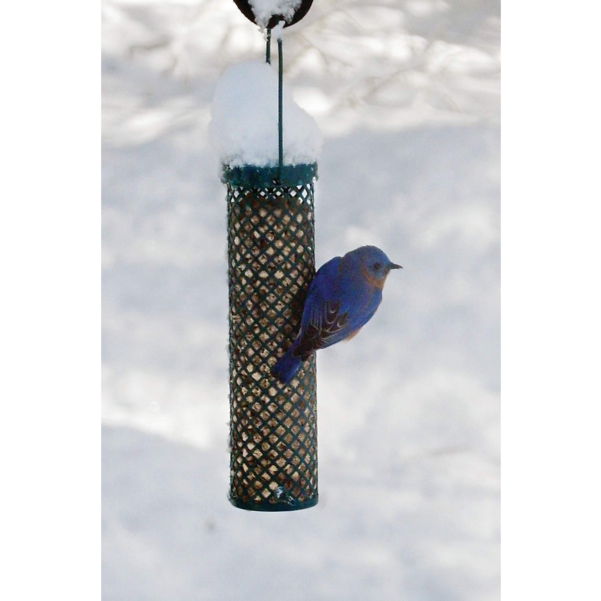 C&S Peanut Nuggets 27 Ounces, 6 Pack