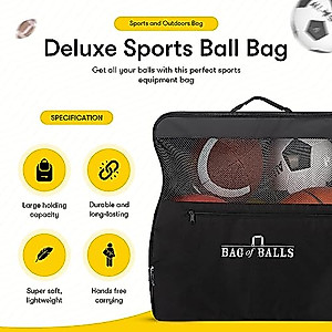 Complete Sports Ball Set - Outdoor Sports Balls in Carry Bag - Sport Balls Kit with Pump for Adults and Kids - Branded Soccer Ball, Basketball, Volleyball, American Football, Dodgeball Playground Ball