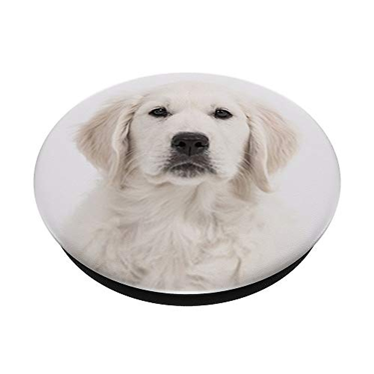 White Golden Retriever