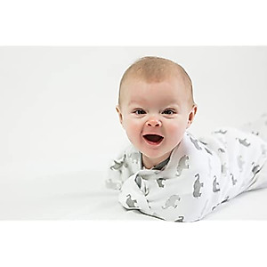 Amazing Baby Transitional Swaddle Sack with Arms Up Half-Length Sleeves and Mitten Cuffs, Little Zebra, Medium, 3-6 mo, 14-21 lbs (Better Sleep for Baby Boys, Baby Girls, Easy Swaddle Transition)