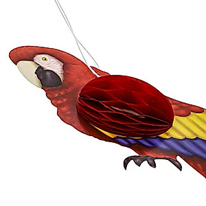 Hanging Parrot Paper Honeycomb Decorations for Tropical Birthday Party (6 Pack)