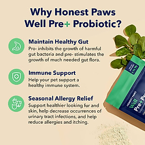 Honest Paws Dog Wash and Dog Probiotic with Prebiotic for Healthy Gut - 5-in-1 Dog Wash - Digestive and Immune Support Powder - Chicken Flavor