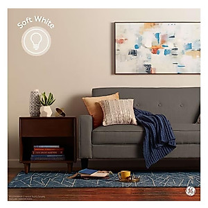 GE Crystal Clear 60W 750 Lumens Energy Efficient General Purpose Halogen Bulbs (2 Bulb Packs) - 24 Pack (48 Bulbs)