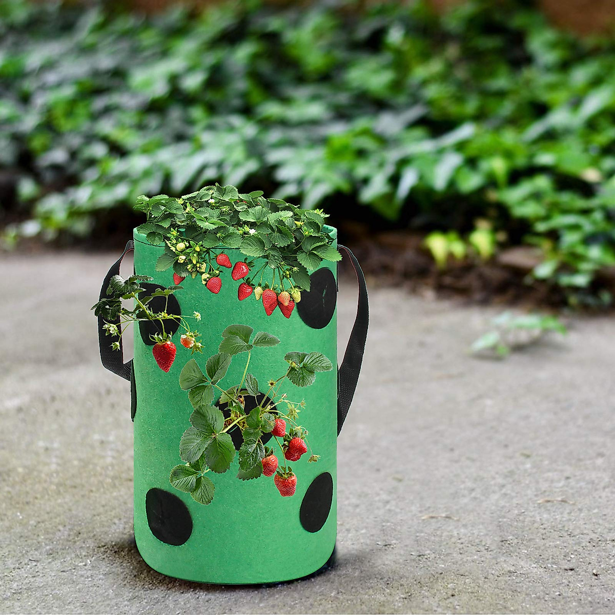 Luxiv Strawberry Grow Bags 3 Gallon, Strawberry Planting Bags with 12 Grow Pouches Plant Growing Hanger Bag for Tomato, Chili, Strawberry Planting Containers Garden Grow Bags (2, Green)