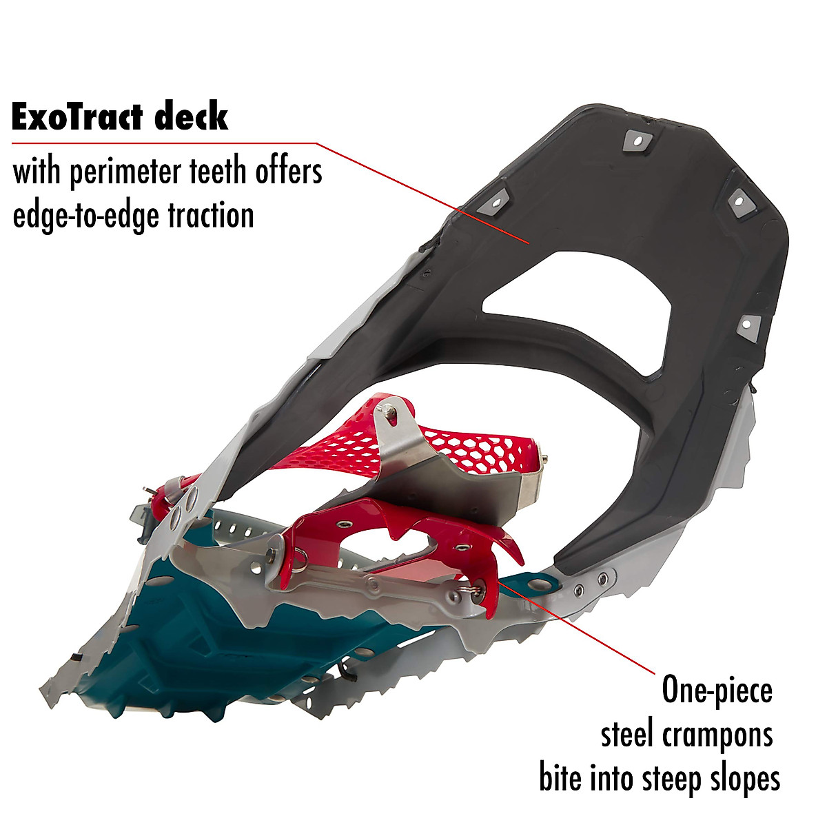 MSR womens Revo Ascent Women's Snowshoes snowshoes, Teal, 22-Inch Pair US