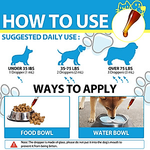 Kennel Cough for Dogs, 60Ml Kennel Dog Cough Treatment, Effective Relieving Dogs Cough Symptoms, Kennel Cough Medicine for Dogs Herbal Drops for All Breeds & Sizes, Supplement for Dogs Itch