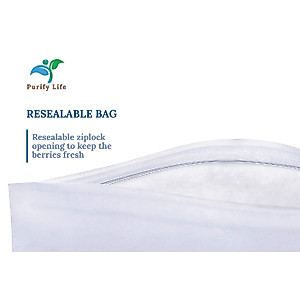 Dried Elderberries - 1lb Bulk - Hand-Sorted, Wildcrafted, Natural, Non-GMO, Whole European Immune System Support For Black Elderberry Syrup, Gummies, Jelly, Tea, Wine, Raw Sambucus, One Pound