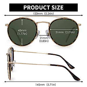 JIM HALO Small Polarized Round Sunglasses for Women Vintage Double Bridge Frame (Gold Frame/Polarized Green Lens)