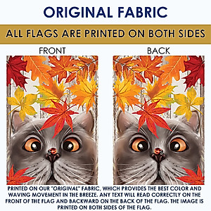 Toland Home Garden 1112655 Fall Cat and Ladybug Fall Flag 12x18 Inch Double Sided for Outdoor Cat House Yard Decoration